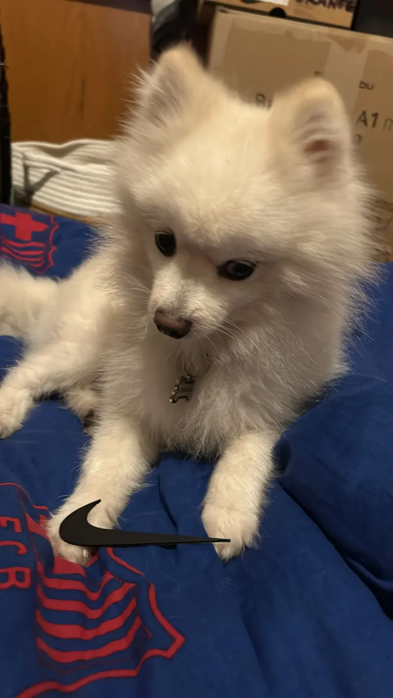 Nike Swoosh by Andre Grech MakerWorld: Download Free 3D Models