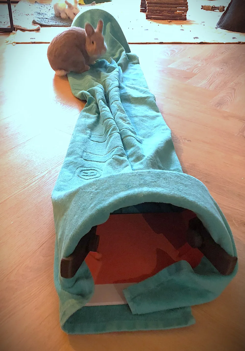 Pet Portal - Free 3D Print Model - MakerWorld