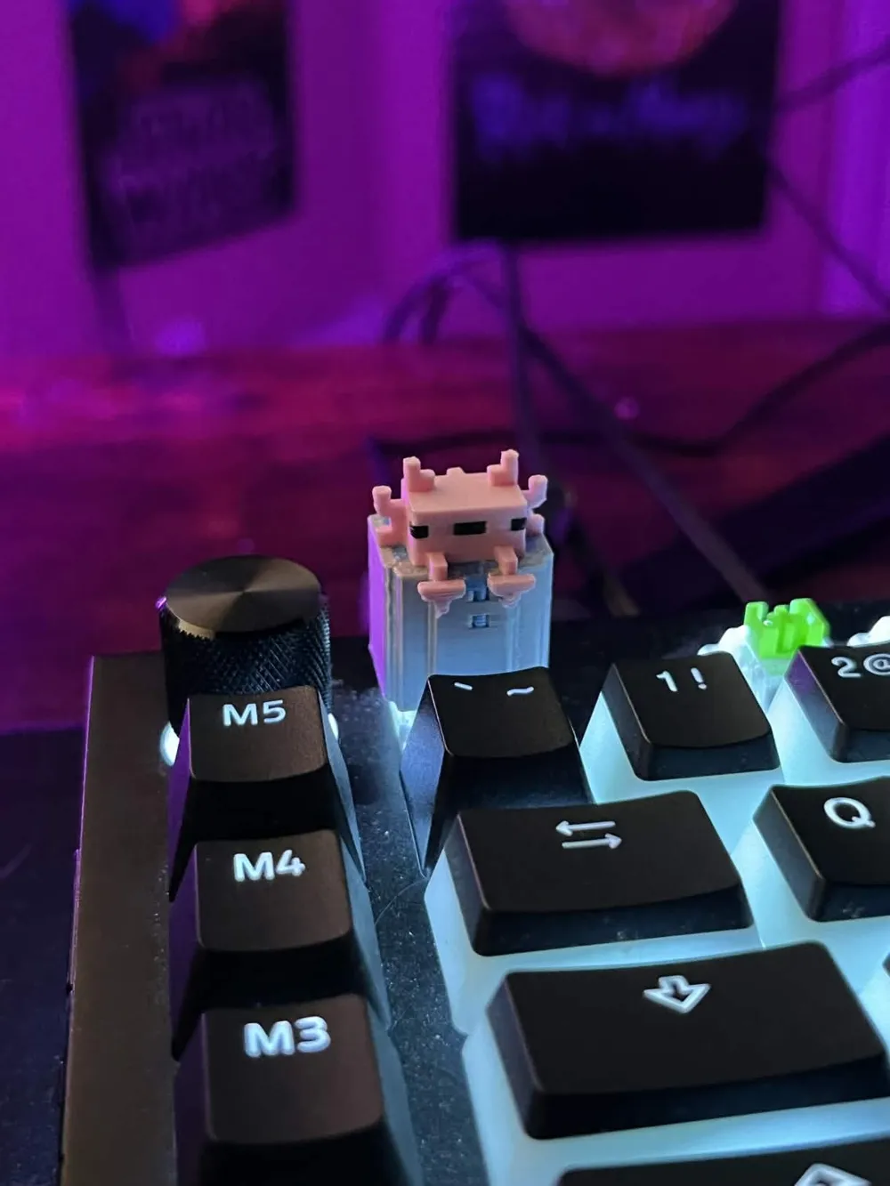 Keycap Axolotl dans un seau - Modèle d'Impression 3D Gratuit - MakerWorld