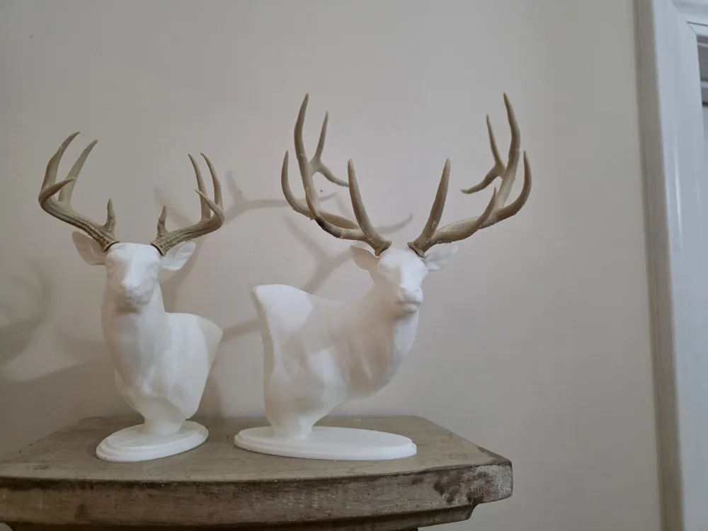 Mini Bull Elk Display - Modular Antlers - Free 3D Print Model - MakerWorld