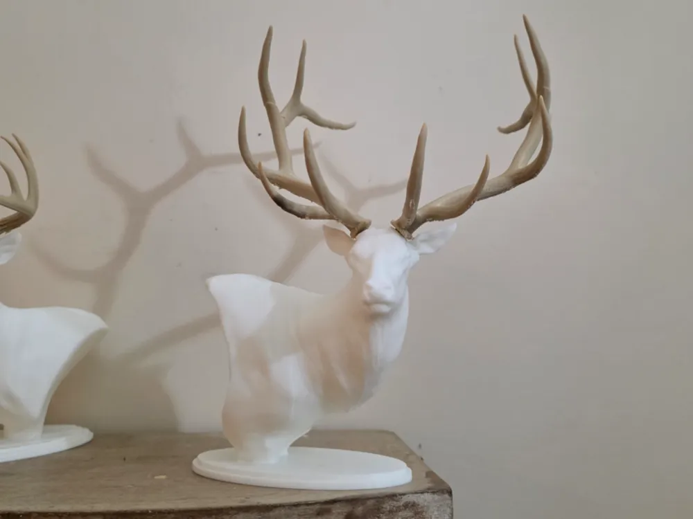 Mini Bull Elk Display - Modular Antlers - Free 3D Print Model - MakerWorld