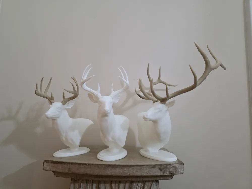 Mini Bull Elk Display - Modular Antlers - Free 3D Print Model - MakerWorld