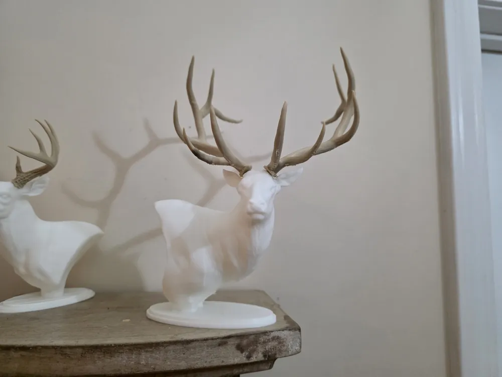 Mini Bull Elk Display - Modular Antlers - Free 3D Print Model - MakerWorld