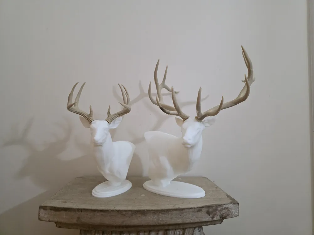 Mini Bull Elk Display - Modular Antlers - Free 3D Print Model - MakerWorld