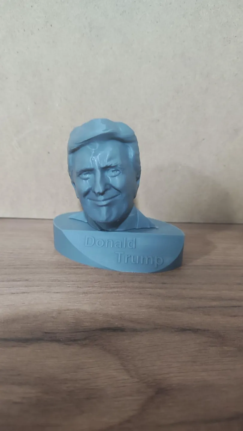Bust Donald Trump by SwotariCZ - MakerWorld
