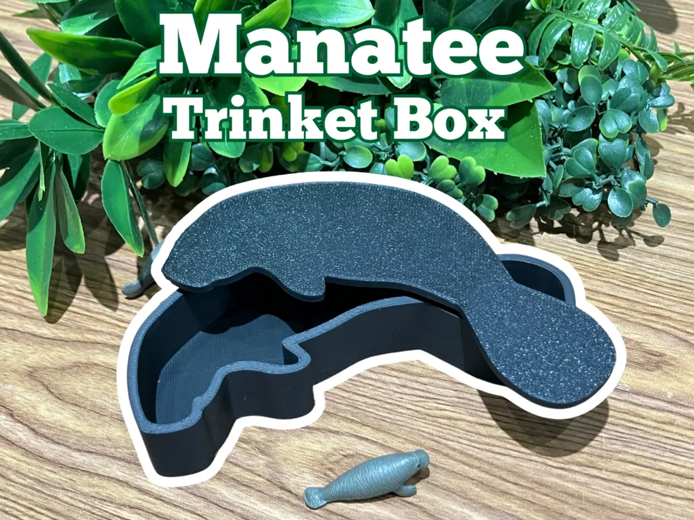 Manatee Trinket Box by tintantanafa - MakerWorld