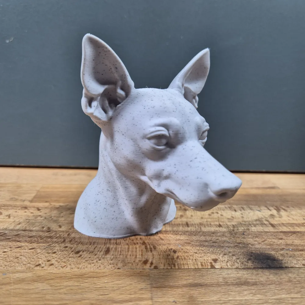 Miniature Pinscher Bust by Mr.Jay MakerWorld: Download Free 3D Models
