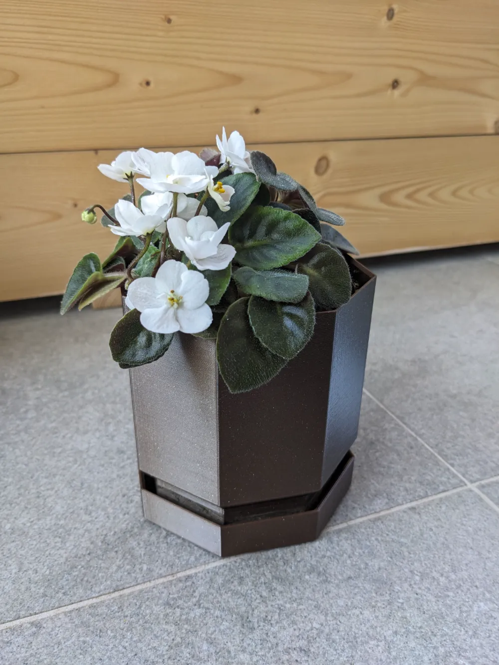 Octagon Pot with Integrated Tray by Wakkster - MakerWorld