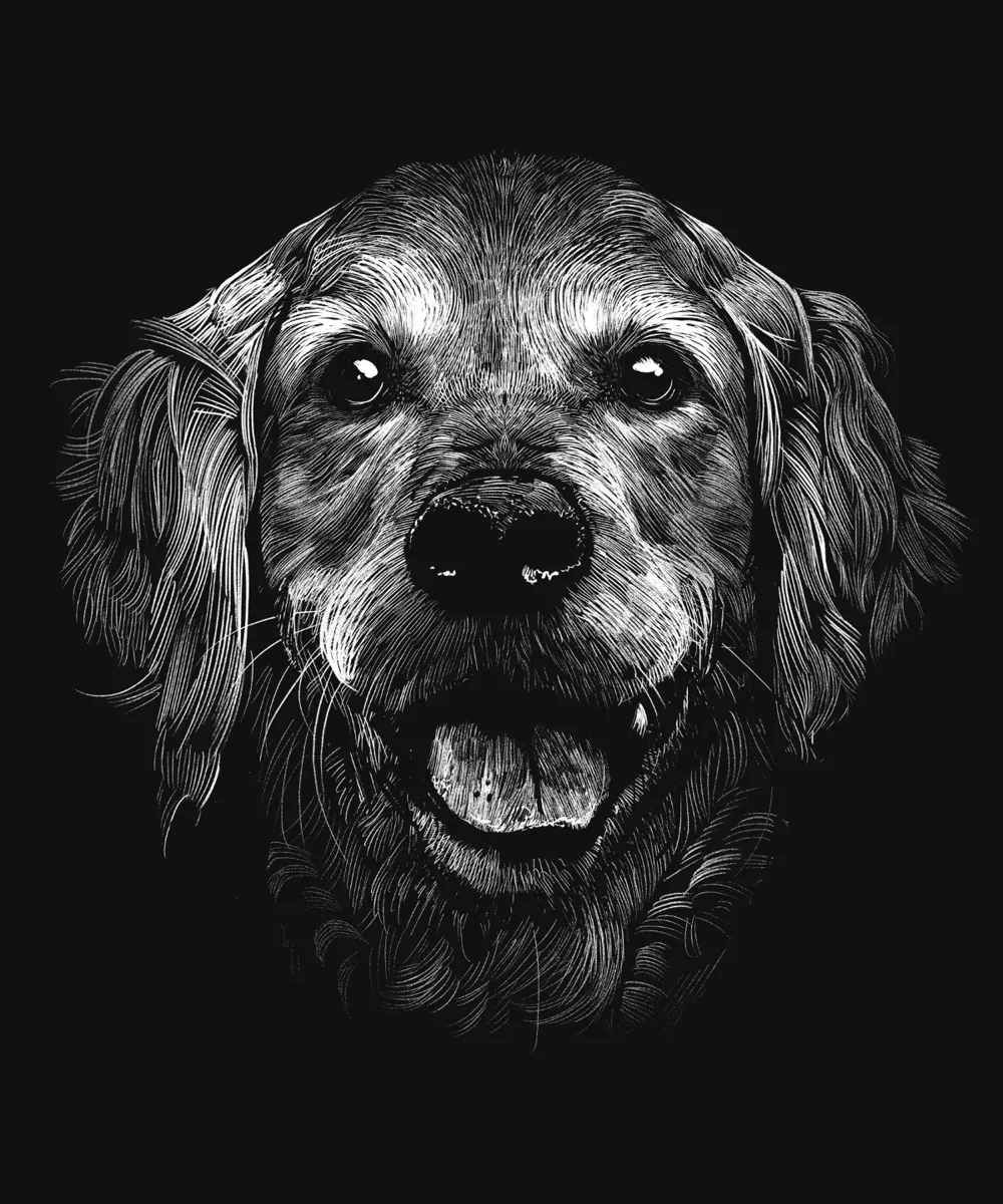 Golden Retriever Portrait - Hueforge 3D Wall Art by kevin.goetz ...