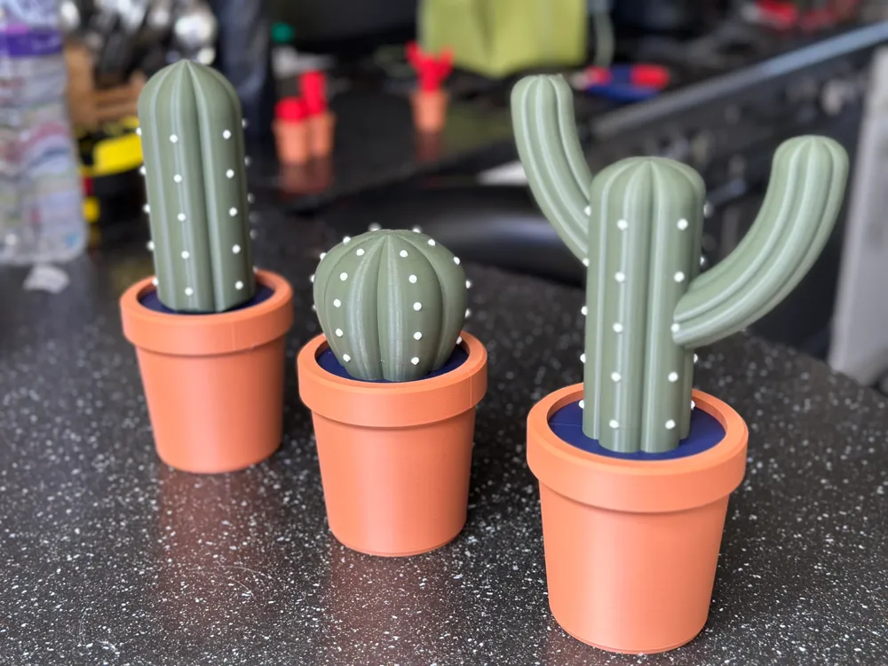 Cactus Container - No.3 - Wacky Boy by Eternity Labs - MakerWorld
