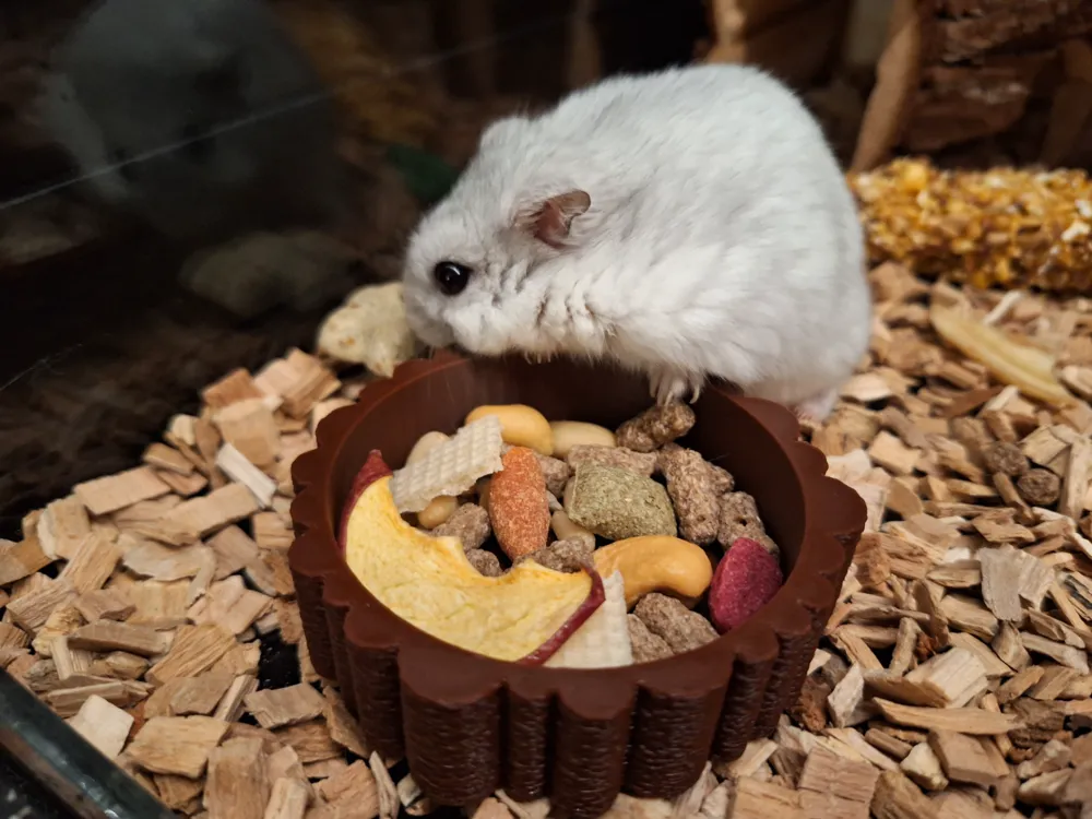 "Natural looking" food bowl for hamster by M4RCCR4FT - MakerWorld