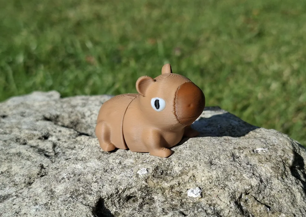Cute flexi capybara by Alex's 3D prints MakerWorld: Download Free 3D Models