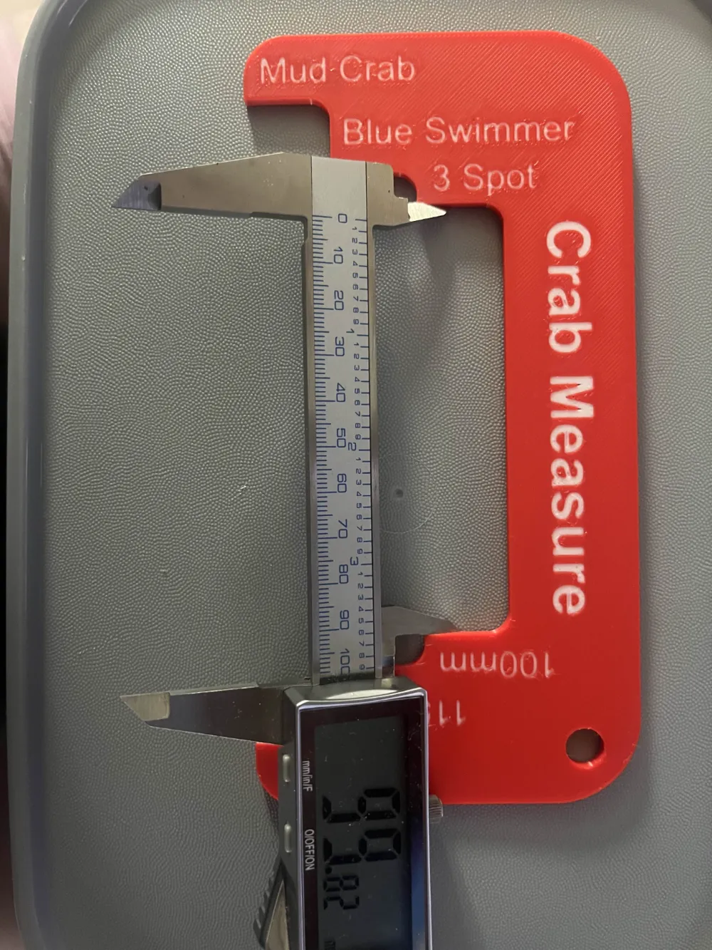 Crab Measure (QLD Australia) by Woodsy - MakerWorld