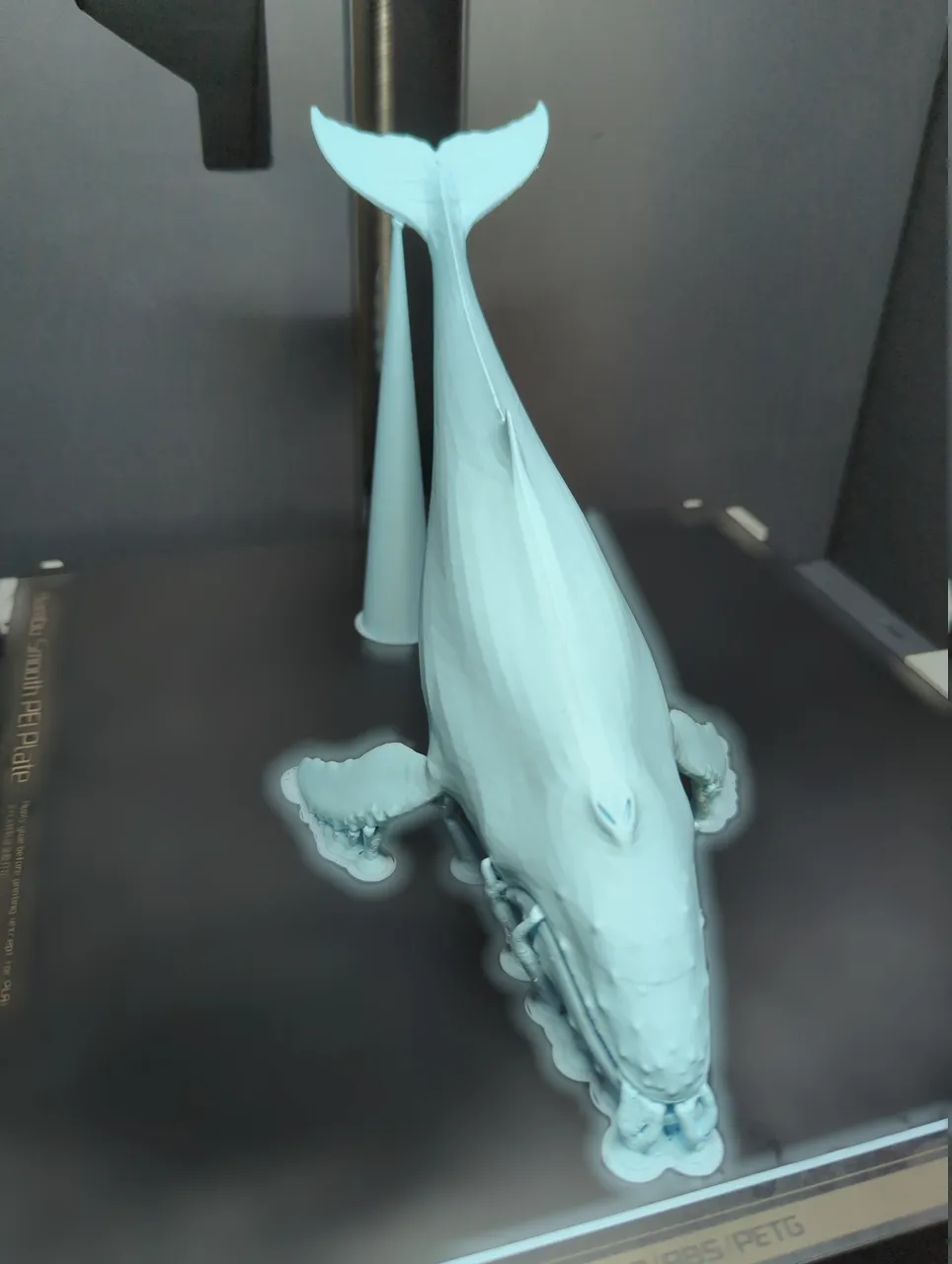 Humpback Whale Remixed by Willy MakerWorld: Download Free 3D Models
