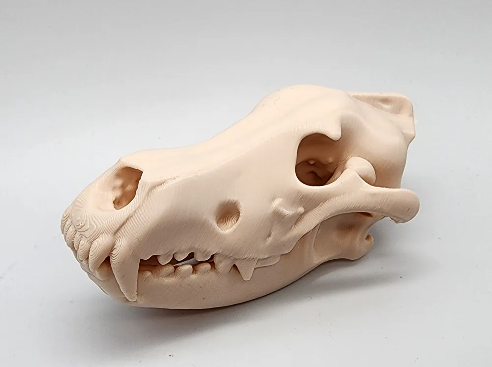 Gray Wolf Skull by Triple G Workshop - MakerWorld