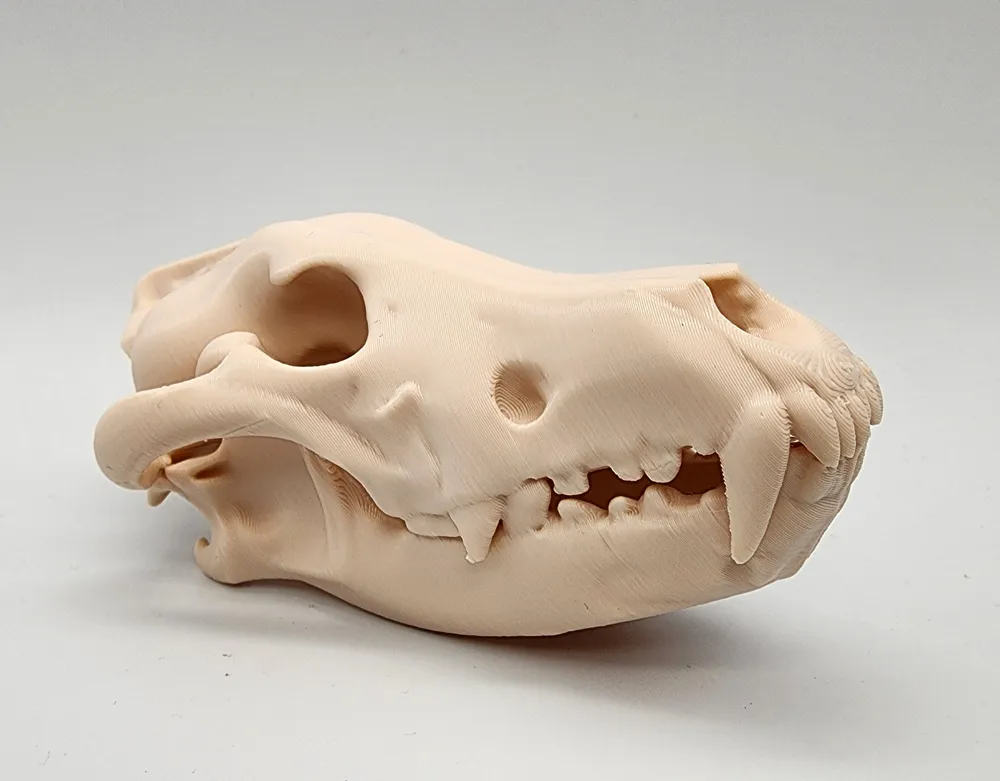 Gray Wolf Skull by Triple G Workshop - MakerWorld