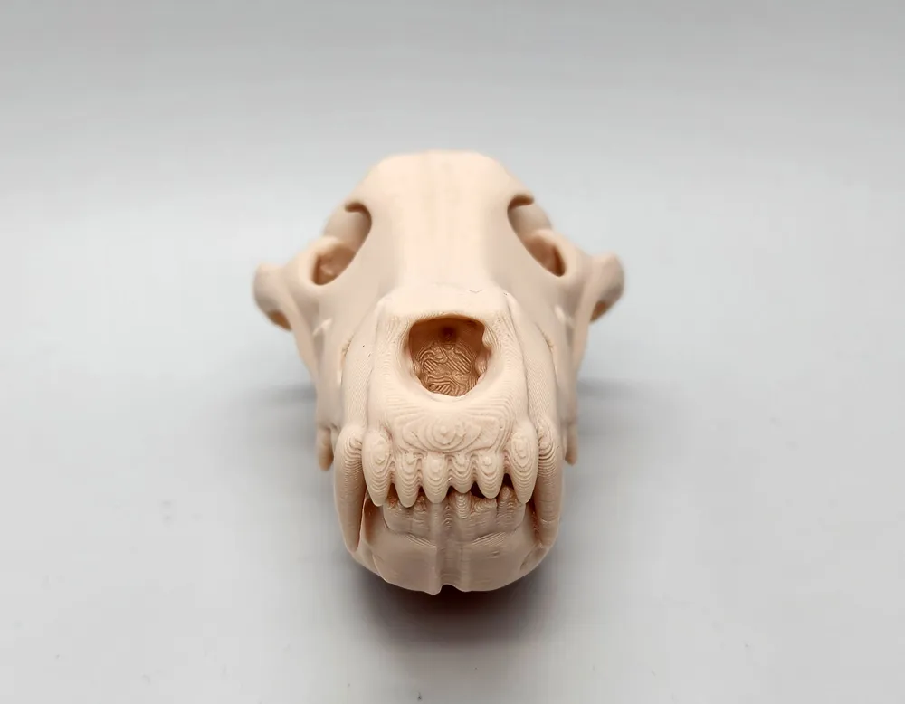Gray Wolf Skull by Triple G Workshop - MakerWorld
