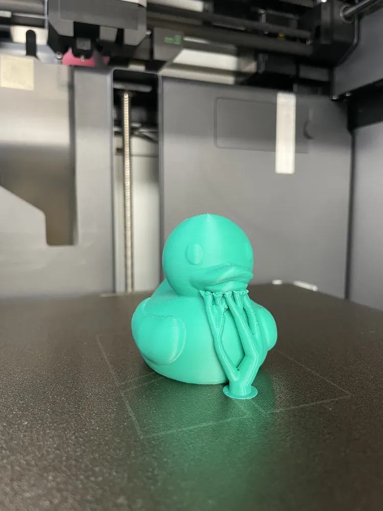 Duck Bathroom Buddy Toilet Bowl Bolt Covers by Major League Mods ...