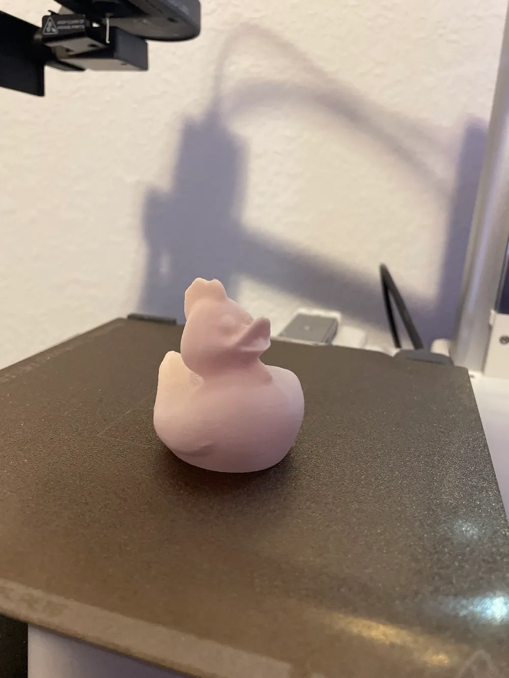 Chicken Ducky by WelcomeBack - MakerWorld