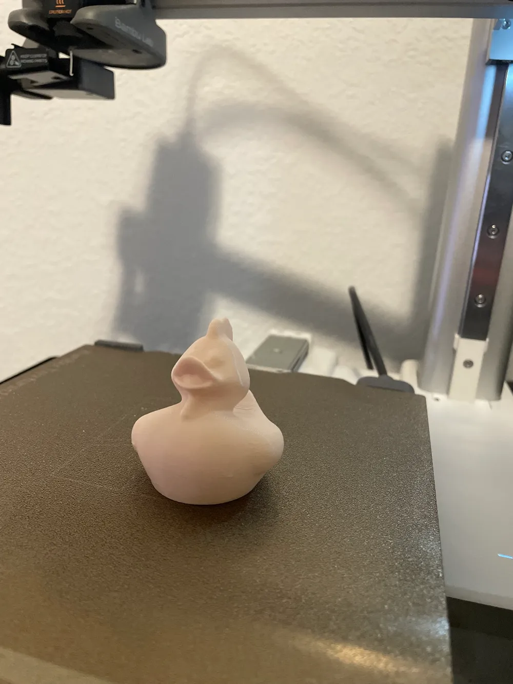 Chicken Ducky by WelcomeBack - MakerWorld