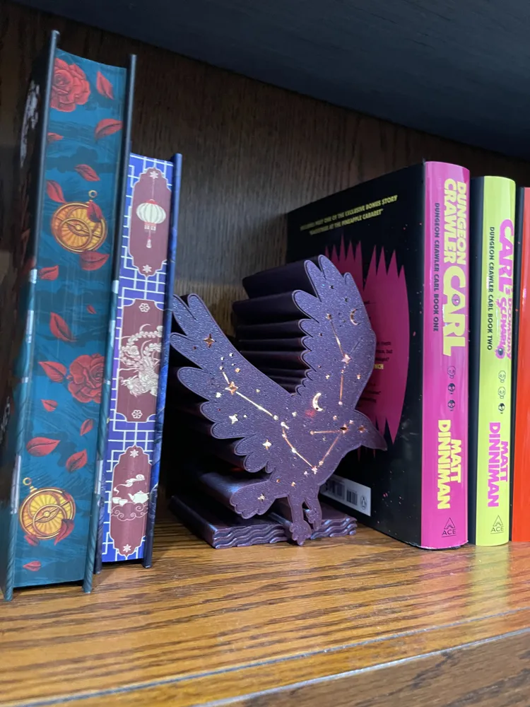 Cosmic Crow – Light-Up Constellation Shelf Display by Pages ...
