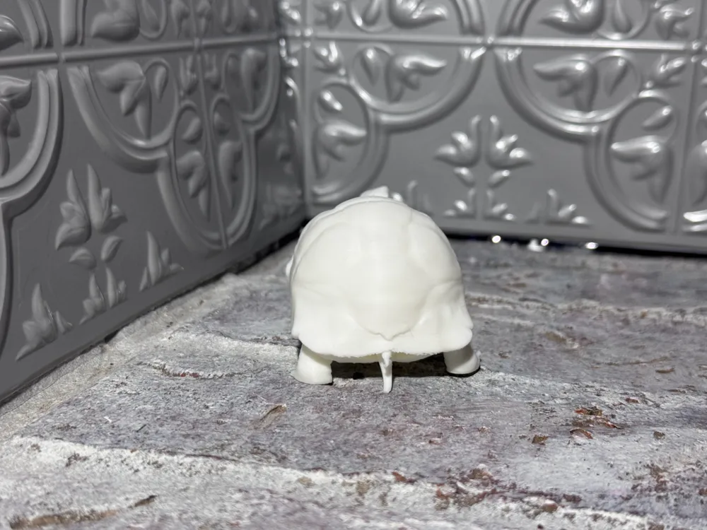 Realistic Turtle by CorwineCustoms.3D LLC MakerWorld: Download Free 3D ...