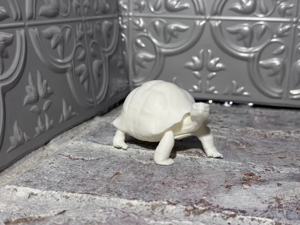 Realistic Turtle by CorwineCustoms.3D LLC MakerWorld: Download Free 3D ...