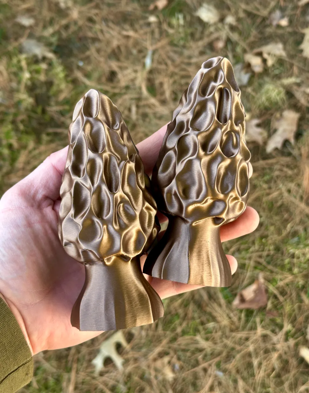 Morel Mushroom Fungi Figure House and Plant Decor by Justin Koch ...