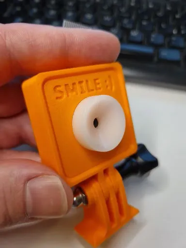 Case for Raspberry Pi Camera V2 with GoPro mount by HalvaPL MakerWorld ...