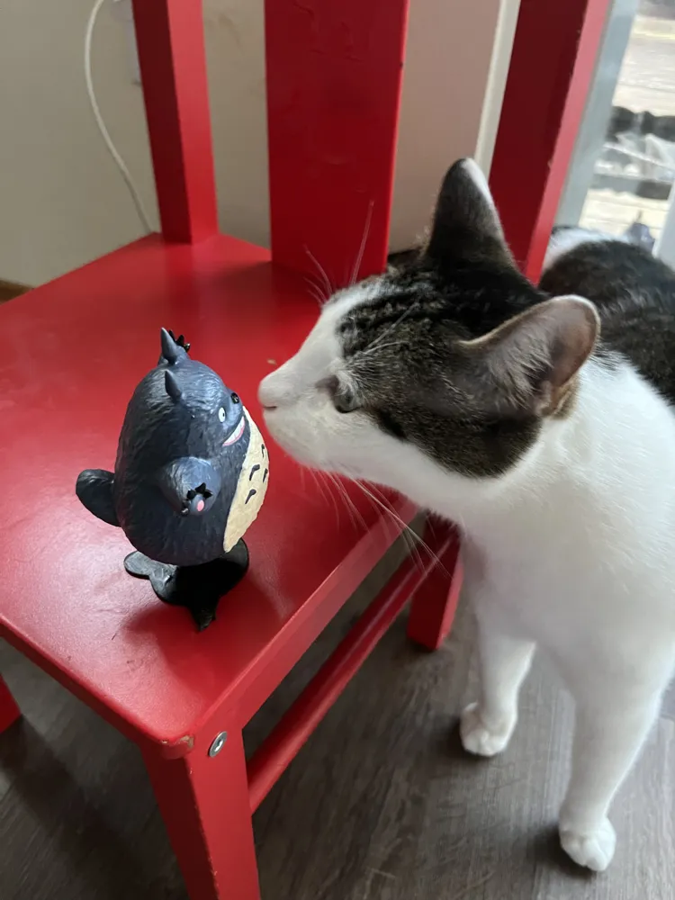 Japanese Forest Spirit：Totoro - Free 3D Print Model - MakerWorld