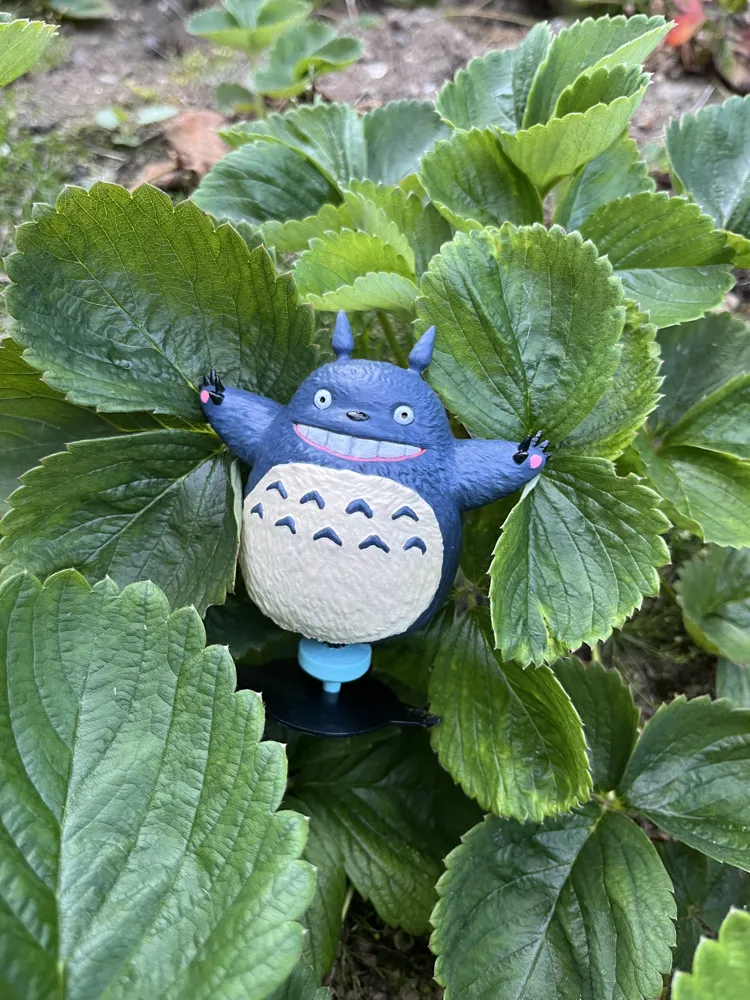 Japanese Forest Spirit：Totoro - Free 3D Print Model - MakerWorld