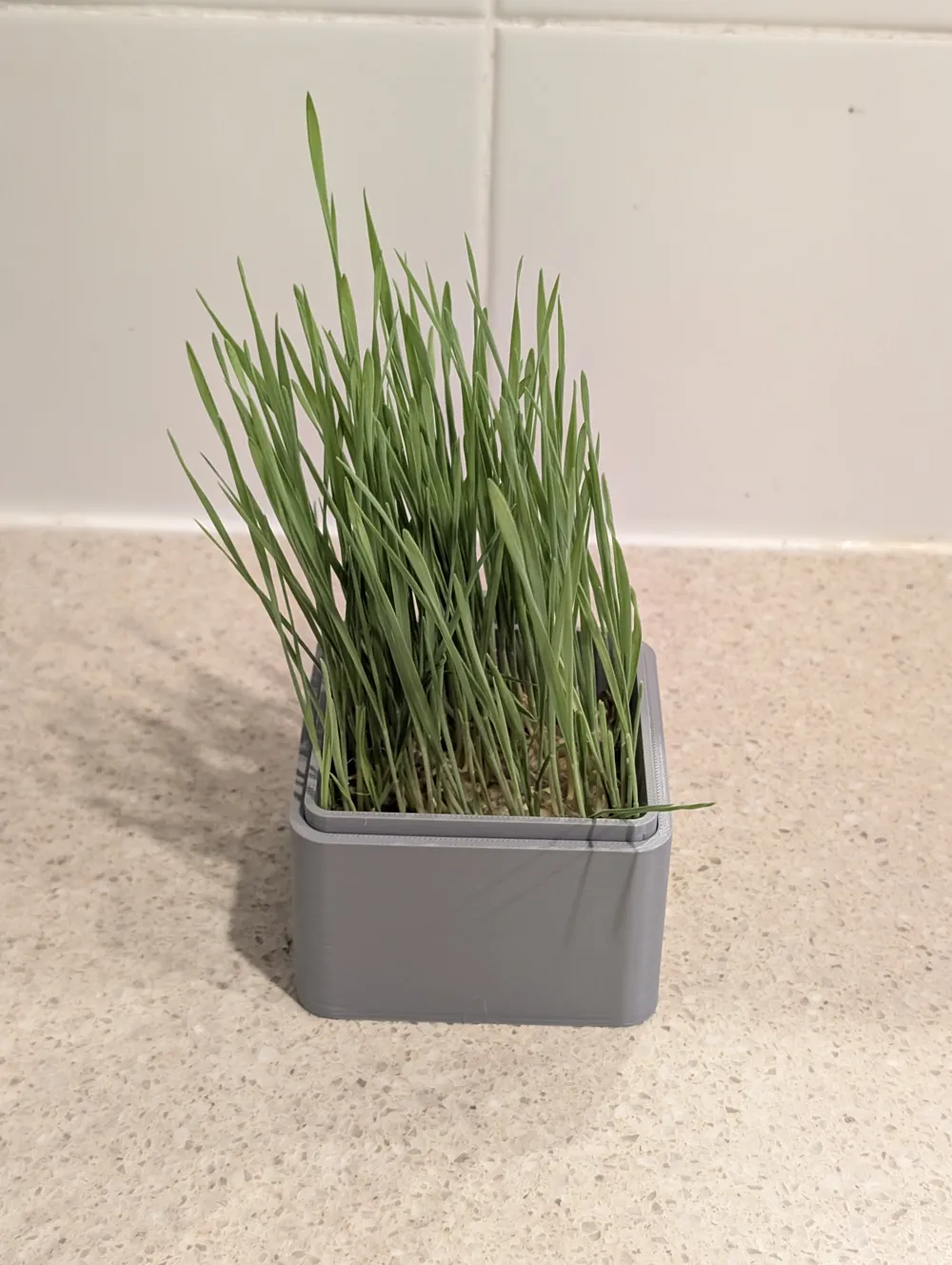Cat friendly grass planter box by apollo11x MakerWorld: Download Free ...