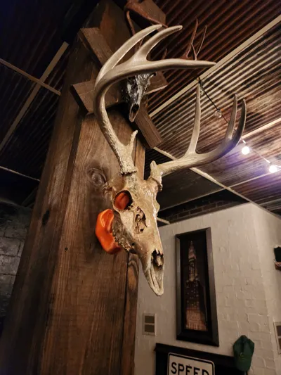 Skull Mount Wall Bracket by DTM247 MakerWorld: Download Free 3D Models