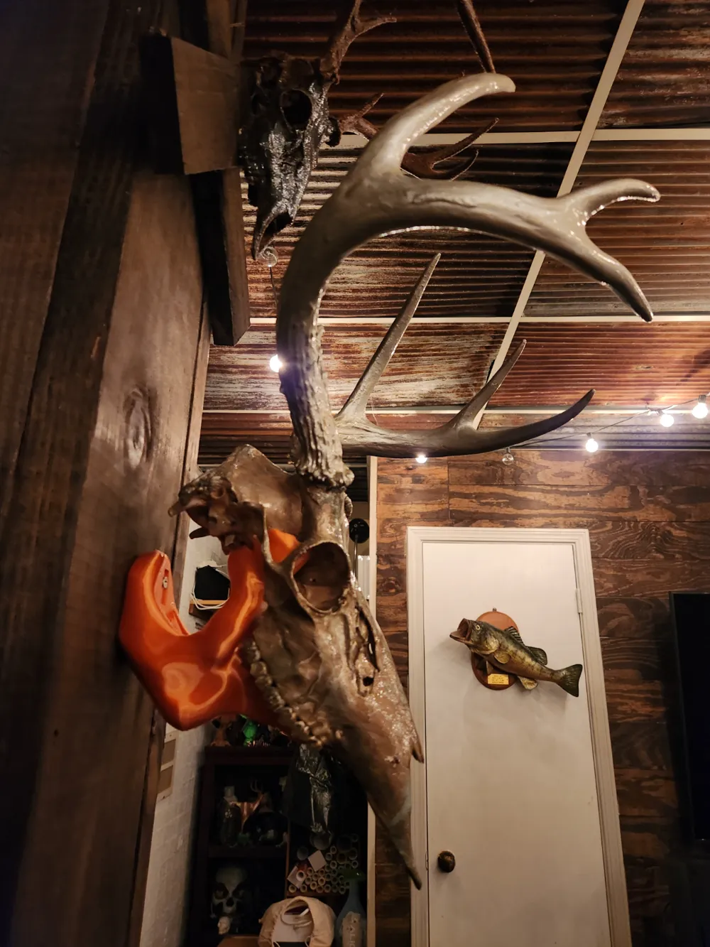 Skull Mount Wall Bracket - Free 3D Print Model - MakerWorld