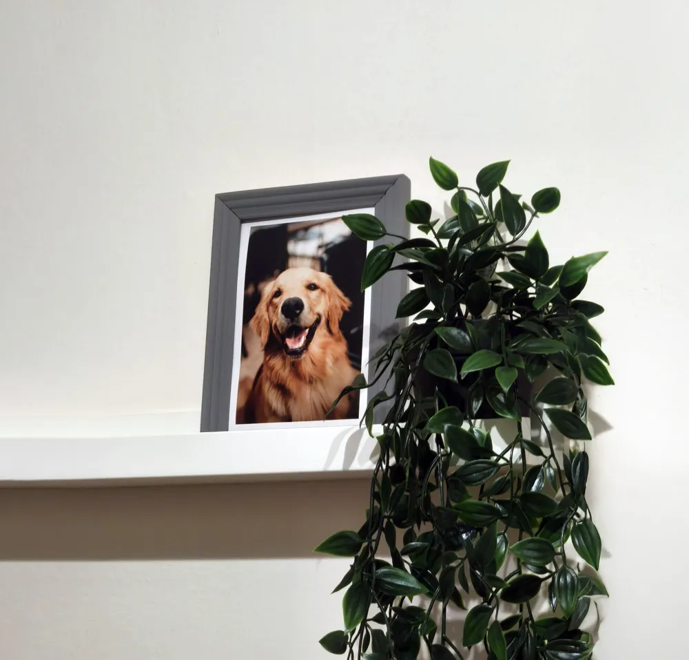 Snap-Click Photo Frame - Modern Classic by Zenit MakerWorld: Download ...