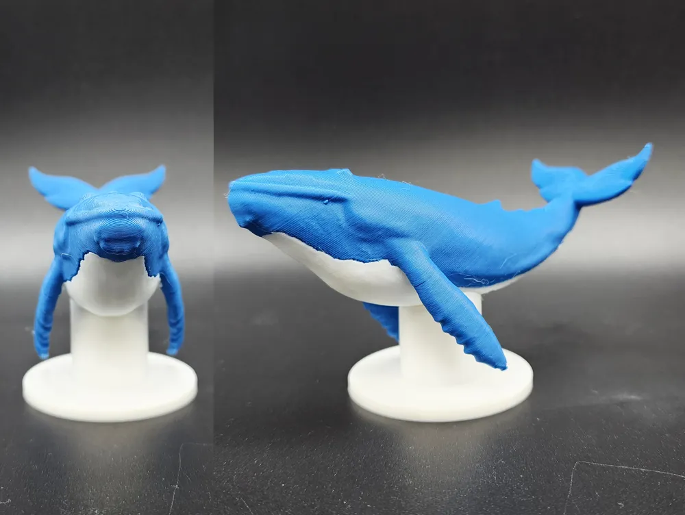 Blue Whale w/Stand AMS by Triple G Workshop MakerWorld: Download Free ...