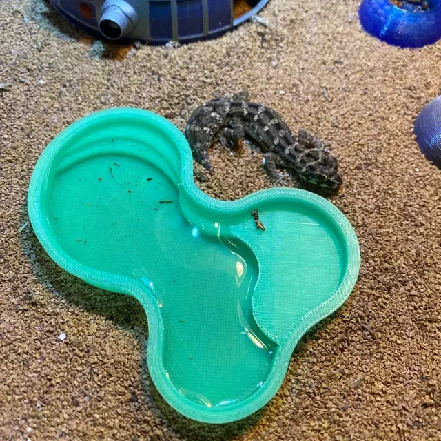 In-ground Reptile water dish, Swimming pool by SchmerBle MakerWorld ...