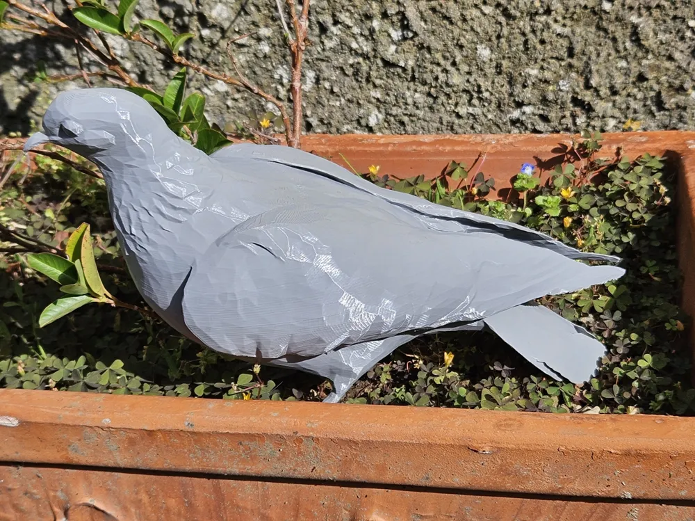 Pigeon Sculpture by diego384 MakerWorld: Download Free 3D Models