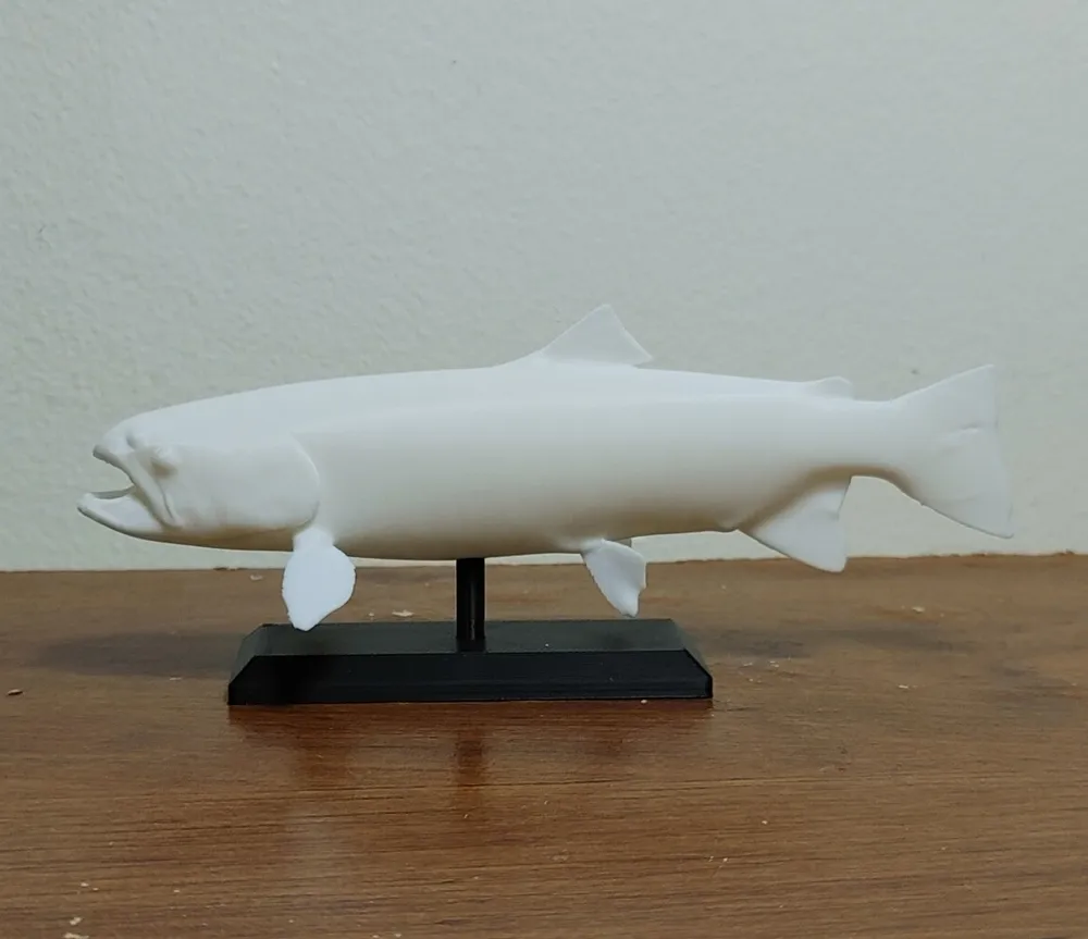 Rainbow Trout Fish Mount 2 - Free 3D Print Model - MakerWorld