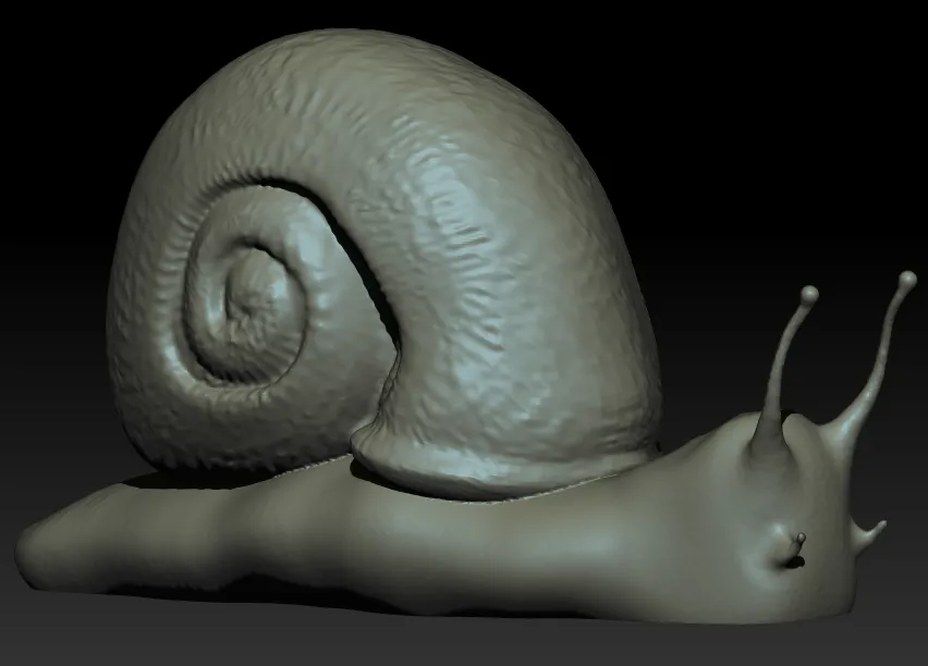 Snail by Echo Forms MakerWorld: Download Free 3D Models