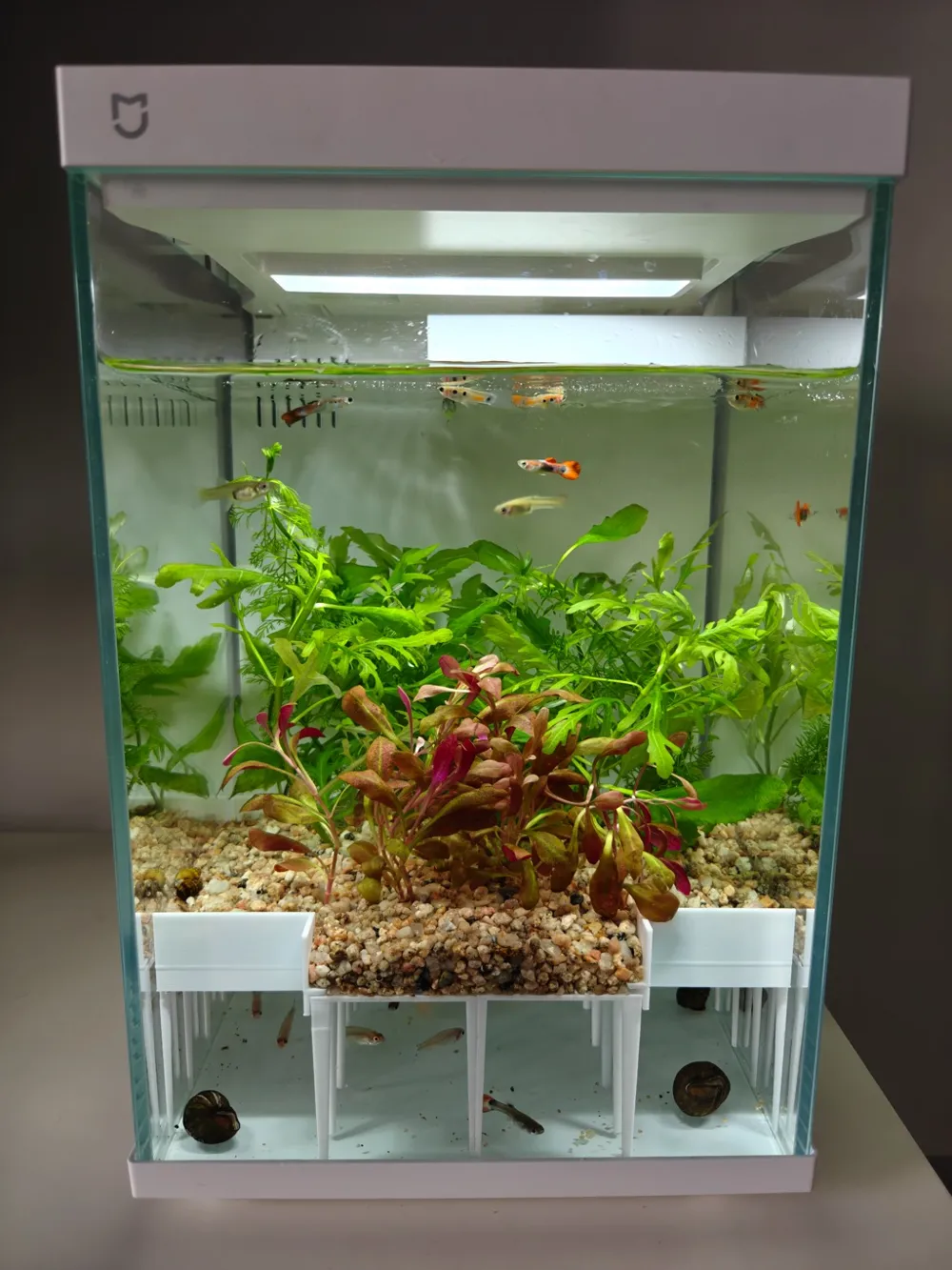 Xiaomi Fish Tank 2nd Gen Bottom Filter - Undercurrent (for the A1 mini ...