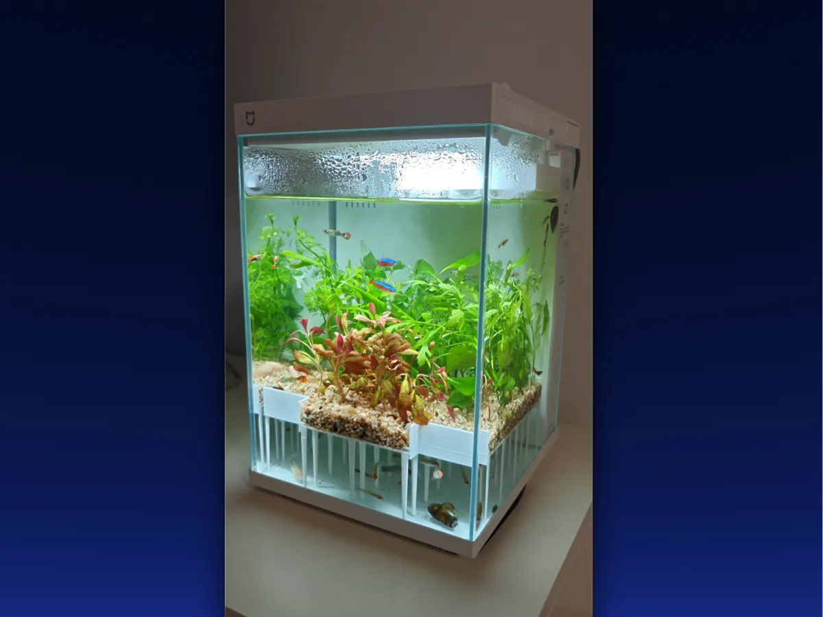 Xiaomi Fish Tank 2nd Gen Bottom Filter - Undercurrent (for the A1 mini ...