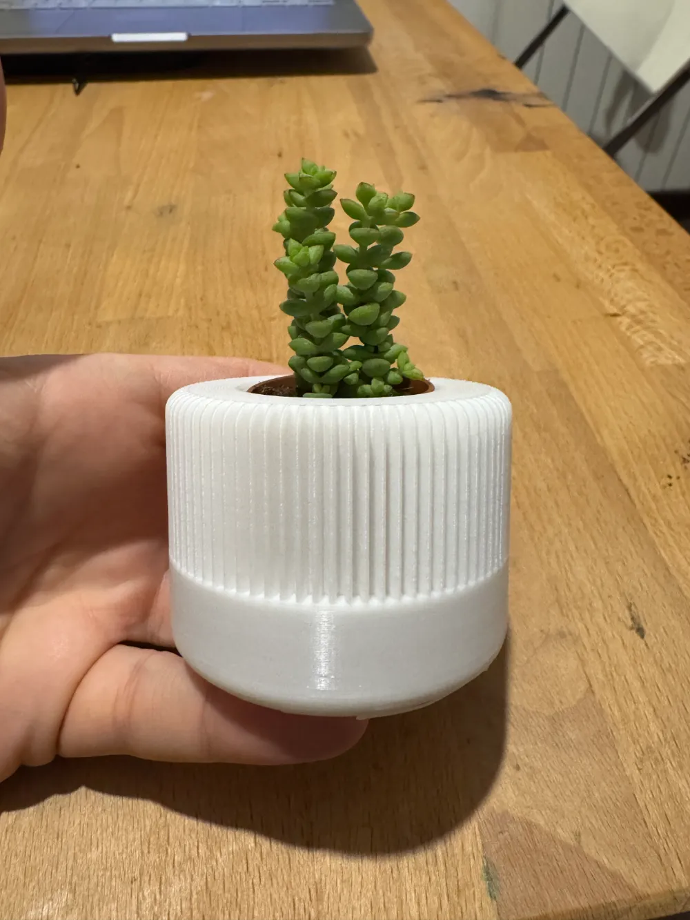 Modern quick little vase by JSSargent82 - MakerWorld