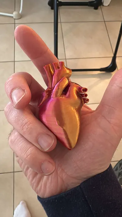 Corazón Humano Real por idan MakerWorld: Descarga Modelos 3D Gratuitos