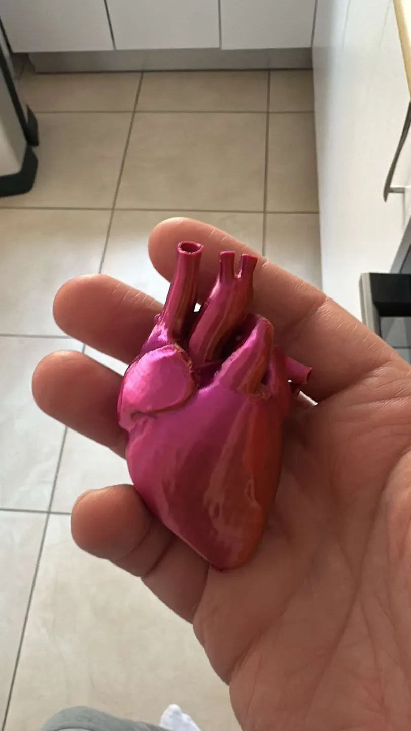 Corazón Humano Real - Modelo de impresión 3D gratuito - MakerWorld