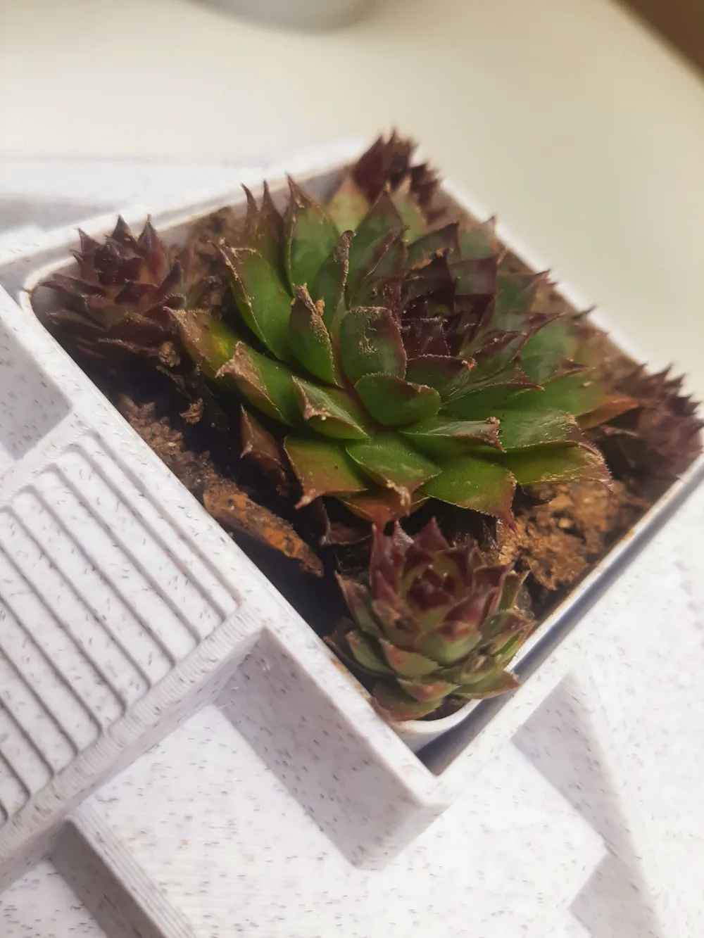 Mayan Temple Planter - Free 3D Print Model - MakerWorld