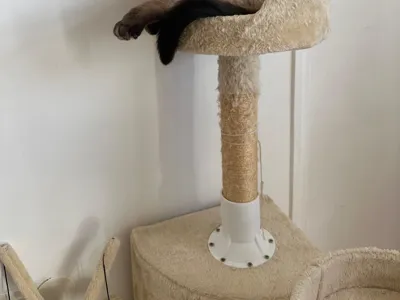 Hacoon | Hem - MakerWorld