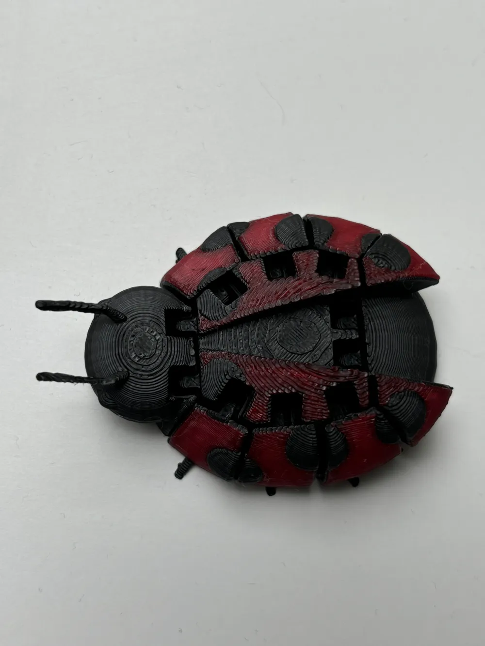 Flexi Articulated Ladybug Singlecolor Multicolor by ...
