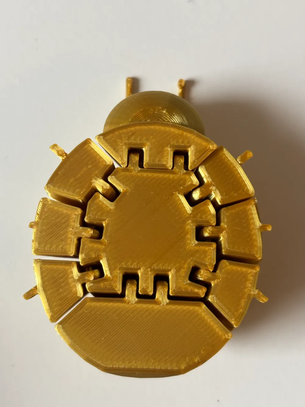 Flexi Articulated Ladybug Singlecolor Multicolor by ...