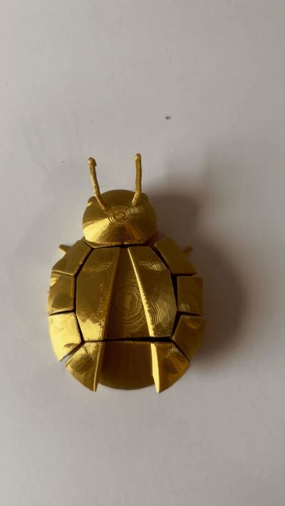 Flexi Articulated Ladybug Singlecolor Multicolor by ...